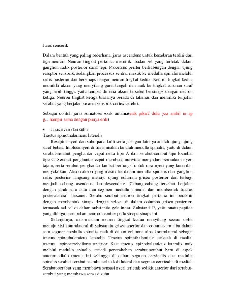 Jaras Sensorik | PDF