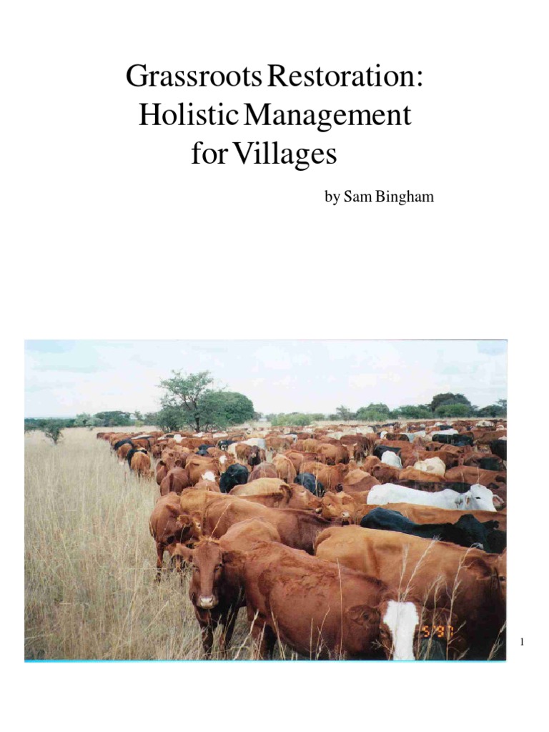 Allan Savory - Holistic Management Overview | PDF | Grazing | Soil