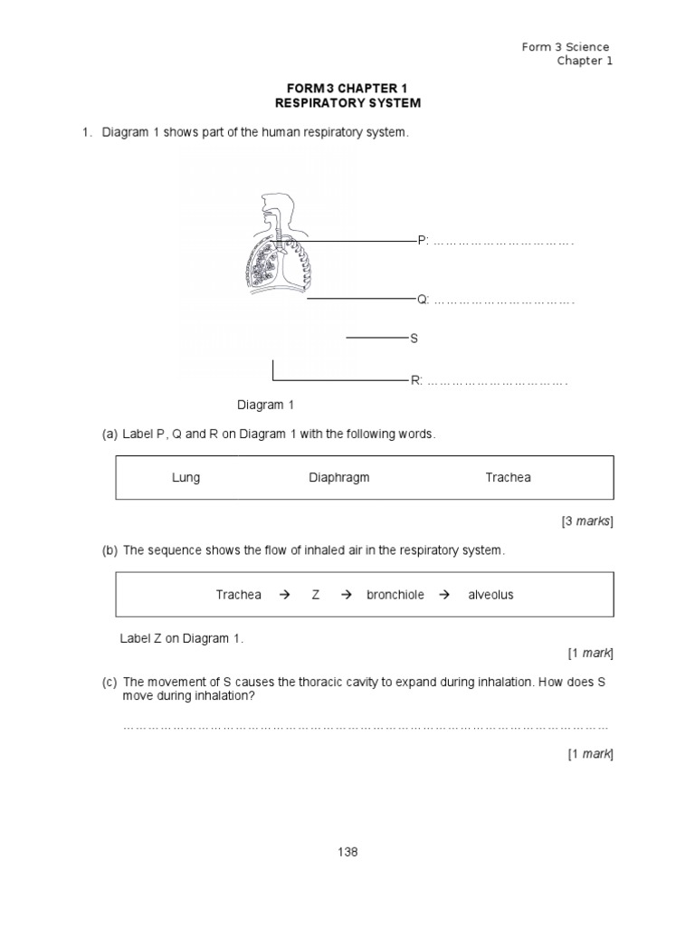 Form 3 Science: Respiratory System Guide | PDF