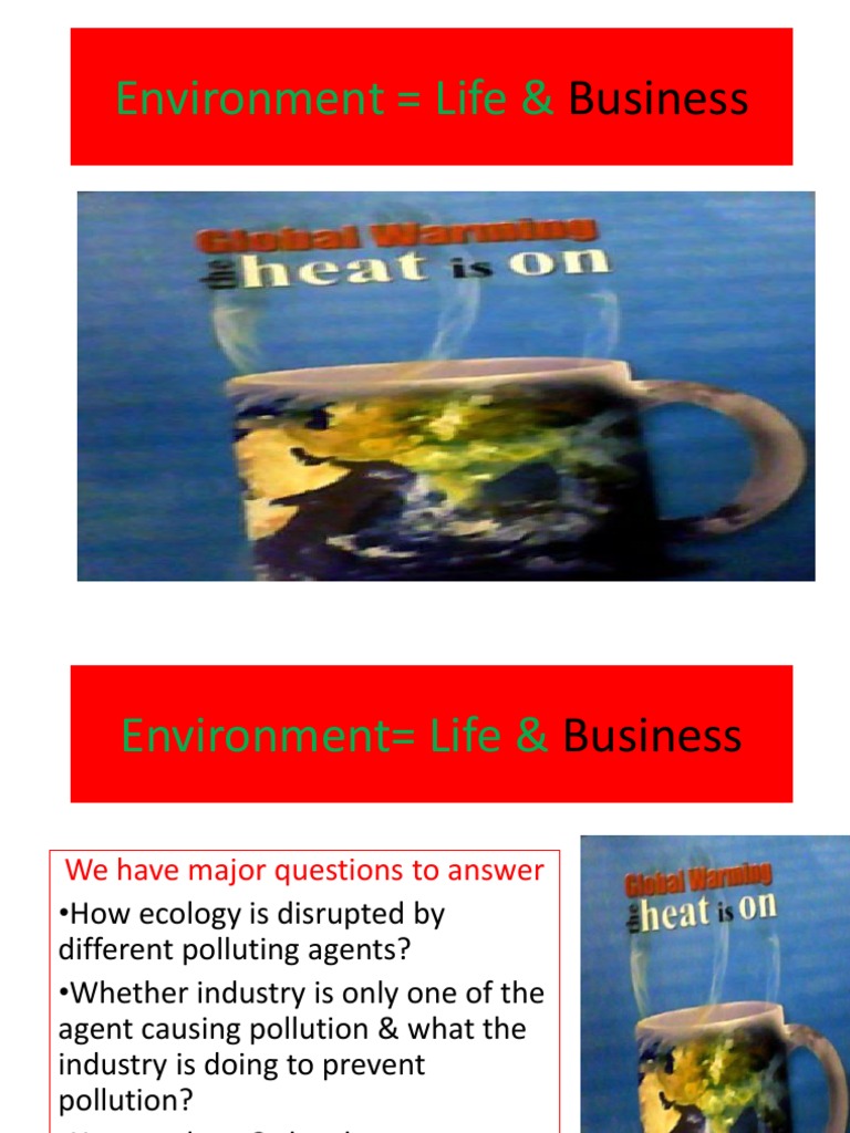 Environment Life Vs Business | PDF | Pollution | Government Of India