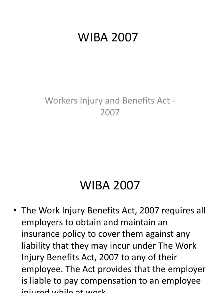 Wiba 2007 | PDF | Disability | Employment