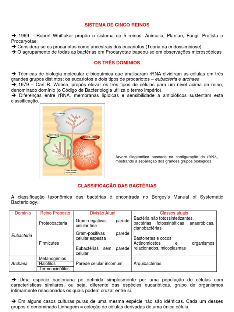 Revisão de Microbiologia | PDF | Vírus | Fungo