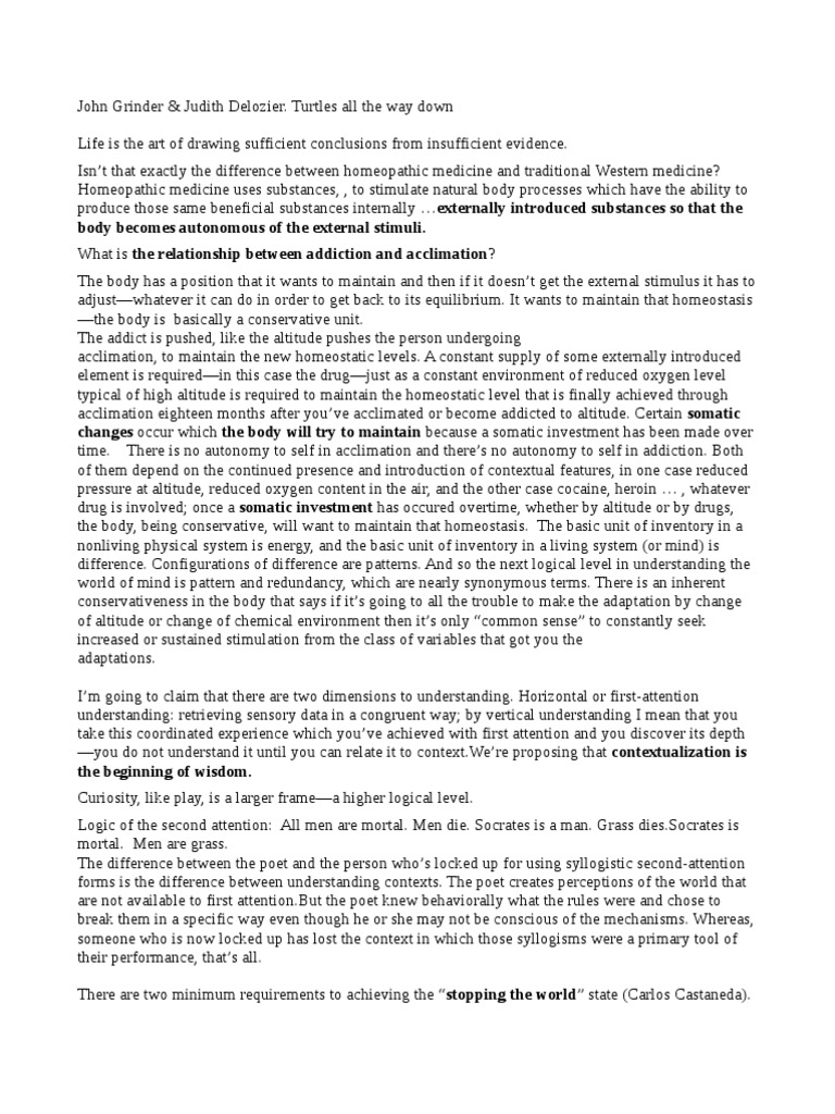 John Grinder & Judith Delozier. Turtles All The Way Down | PDF ...