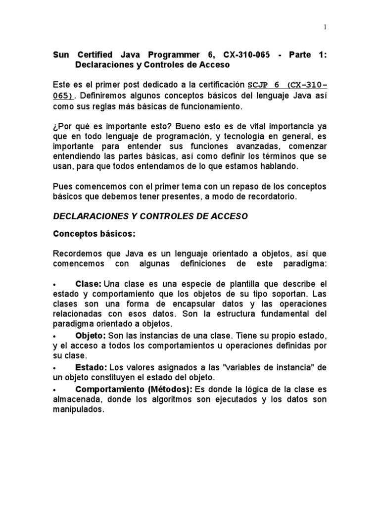 Sun Certified Java Programmer-Buenas Practicas | PDF | Objeto ...