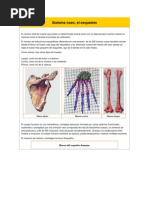 Parental Bonding Instrument | PDF | Escala Likert | Sicología