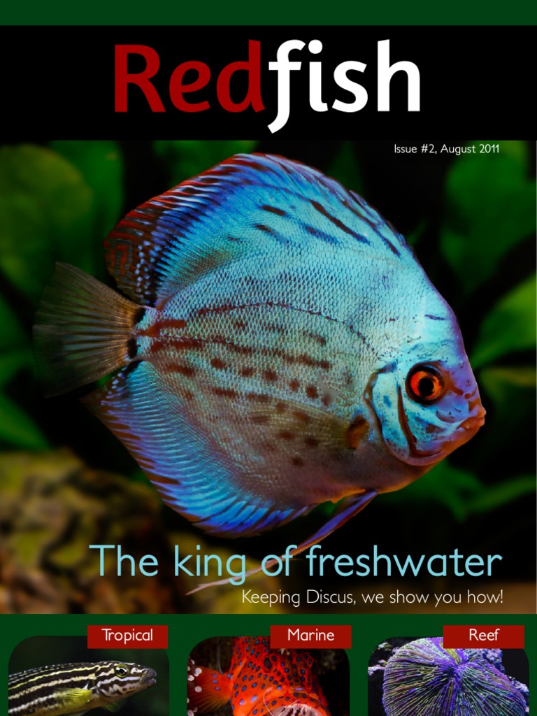 Redfish Magazine 2011 August Au | PDF | Aquarium | Fishkeeping