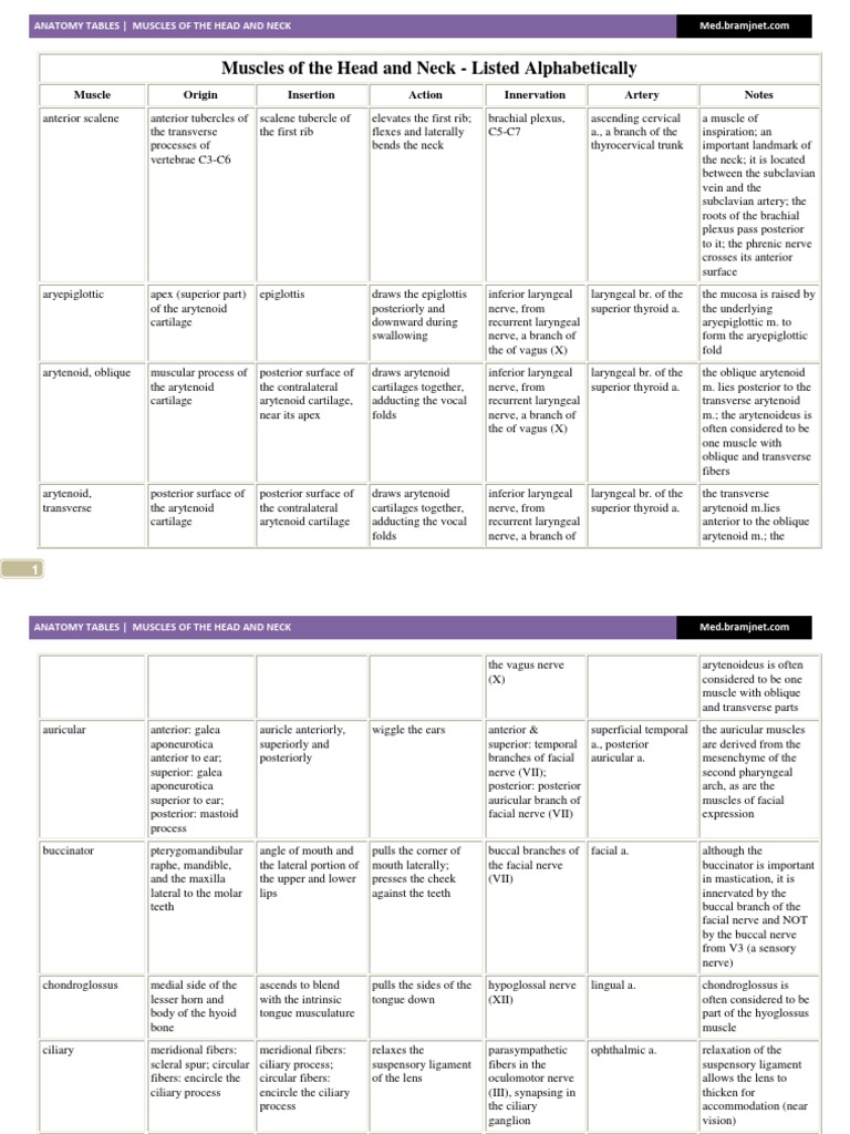 Anatomy Tables-Muscles of The Head and Neck | PDF | Larynx | Tongue