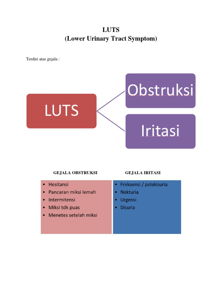 Luts | PDF