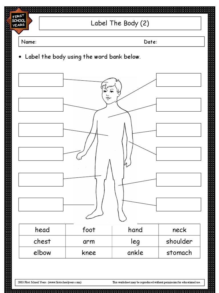 Body Parts Labeling Worksheet for Kids | PDF