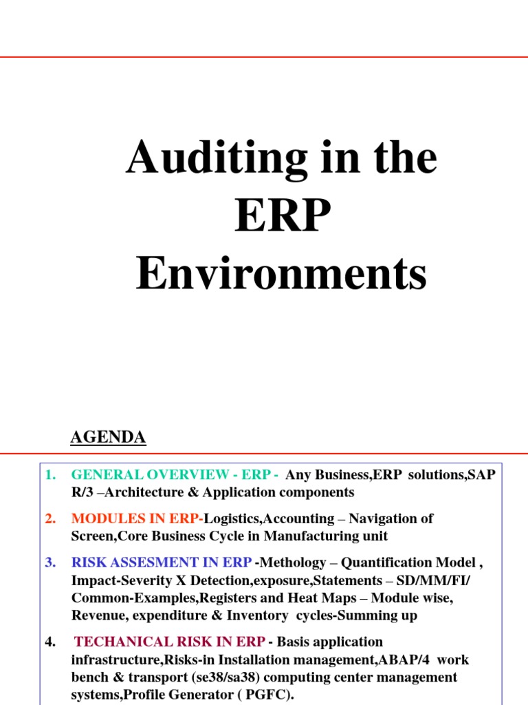 Auditing in Erp Environment | PDF | Enterprise Resource Planning | Audit