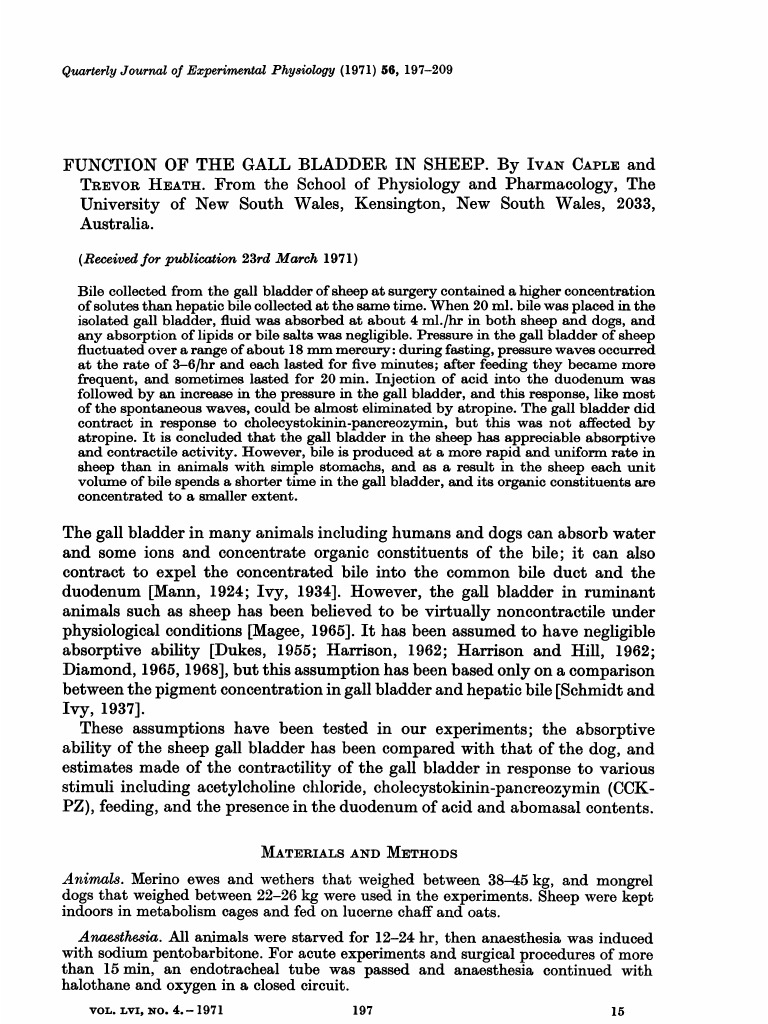 Function of the Gall Bladder in Sheep | Gallbladder | Bile