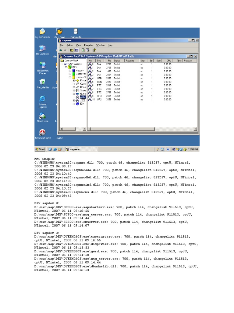 SAP Systems Manager | PDF | Active Directory | Command Line Interface