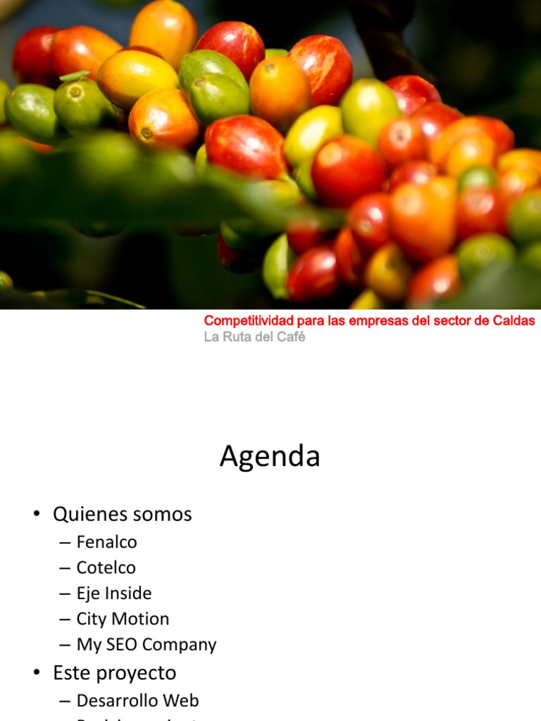 La Ruta Del Cafe Manizales | PDF | Posicionamiento en buscadores | Colombia