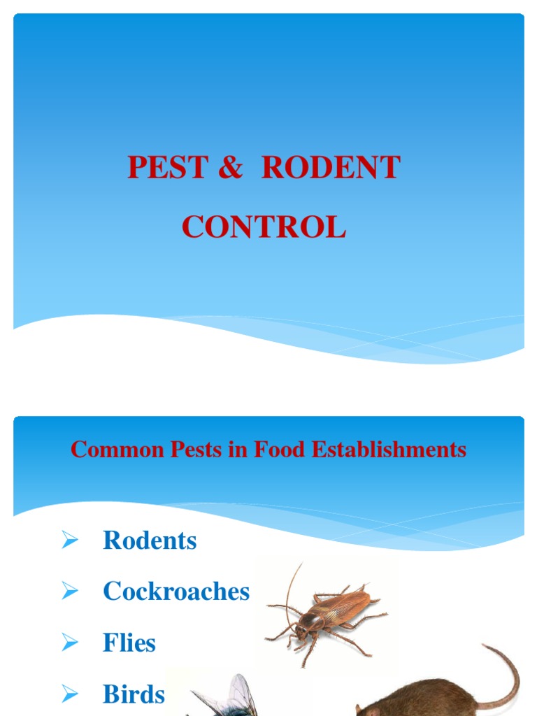 Pest Control | PDF | Science & Mathematics