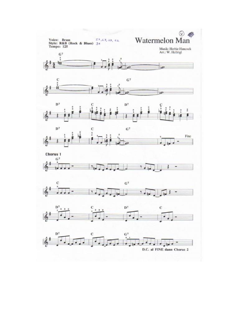 WaterMelon Man PDF | PDF