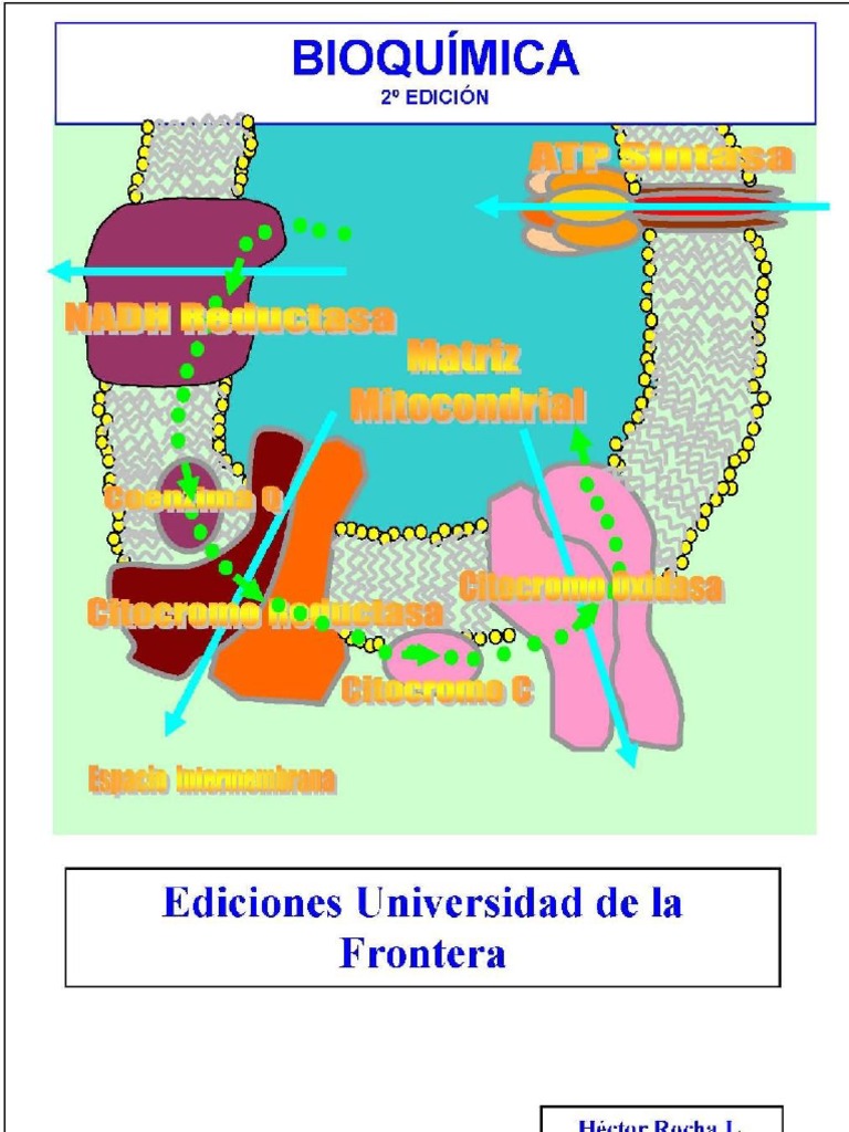 Bioquimica Rocha. 2da Edic.