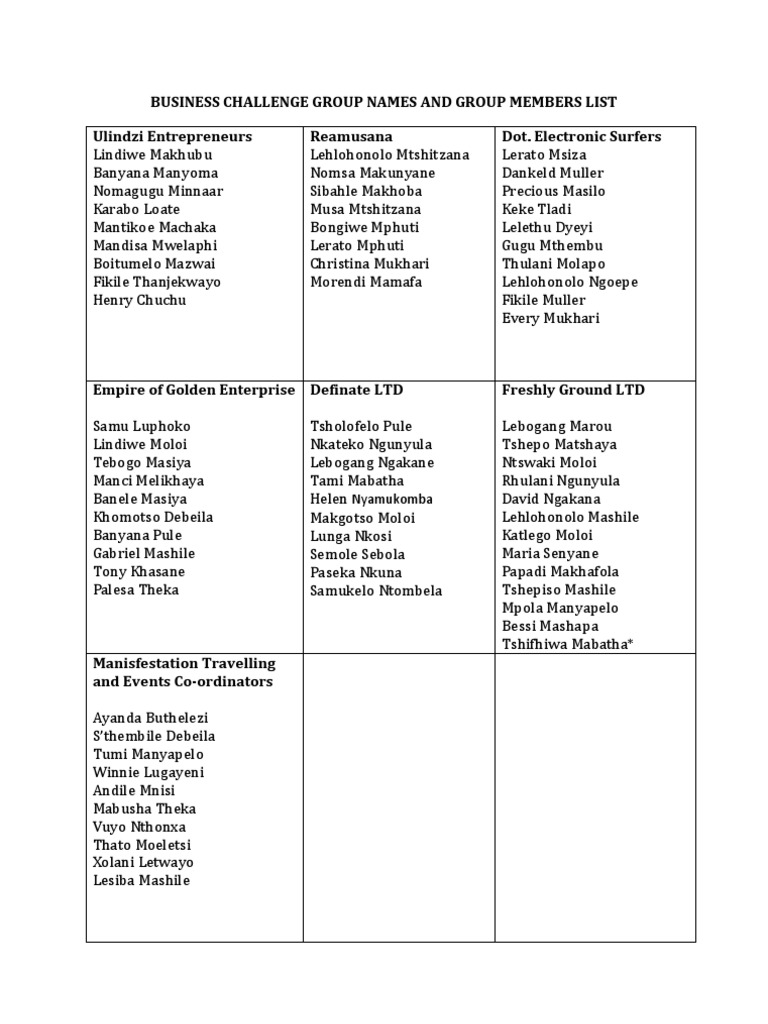 Business Challenge Group Members List | PDF