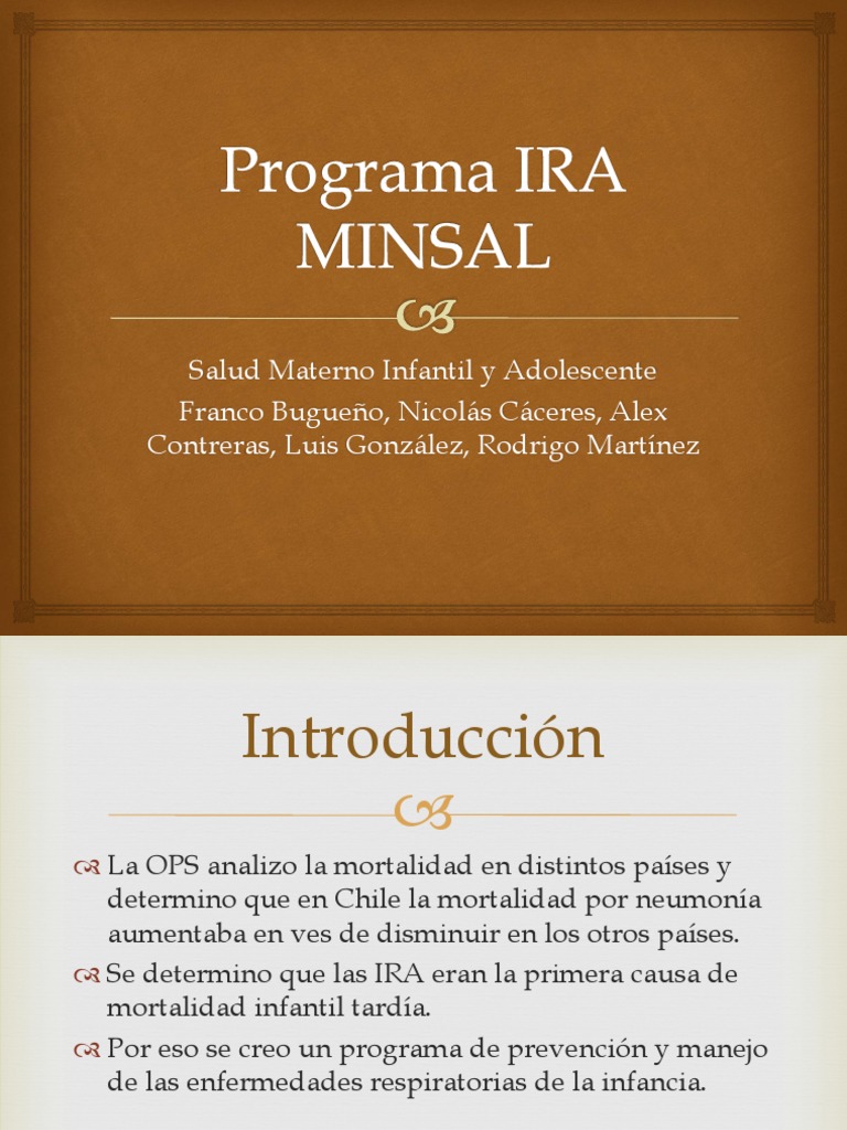 Programa IRA MINSAL | PDF