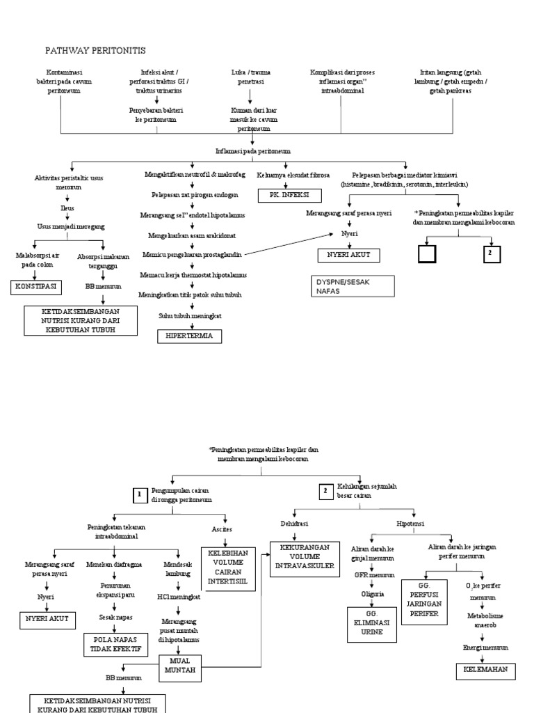 Pathway Peritonitis Medis | PDF