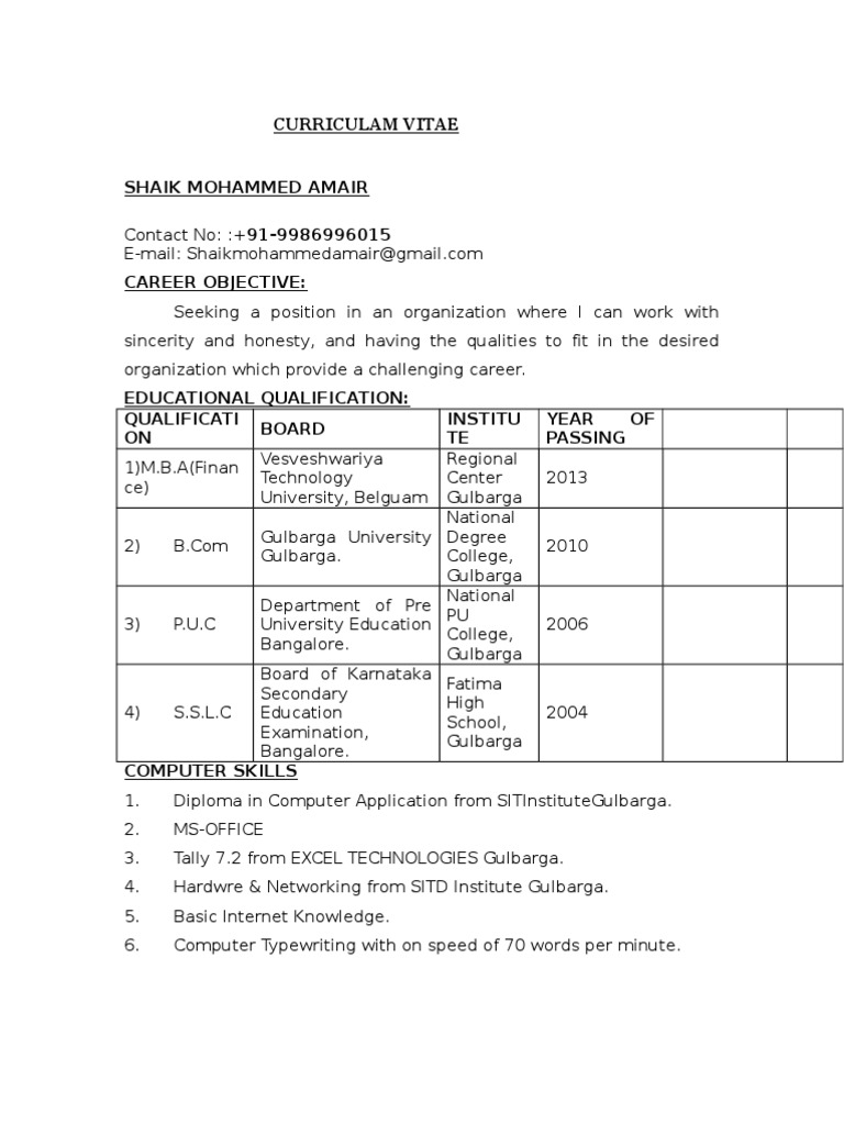 Update CV Amair-2 | PDF