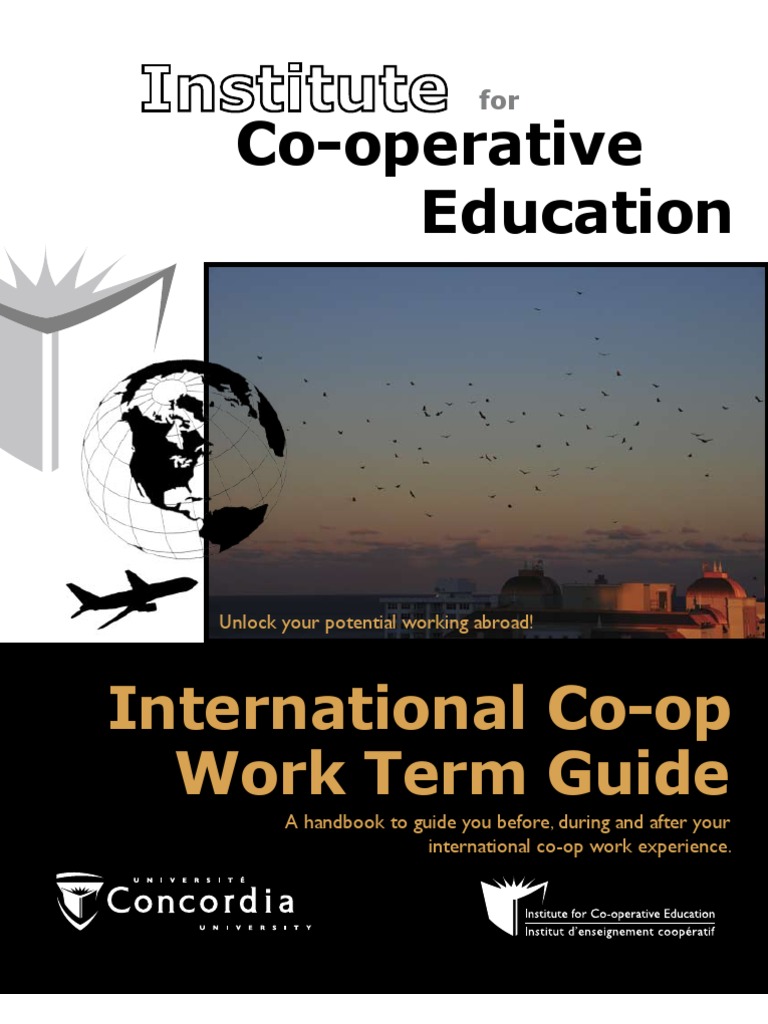 International Work Term Guide | PDF | Travel Visa | Internship