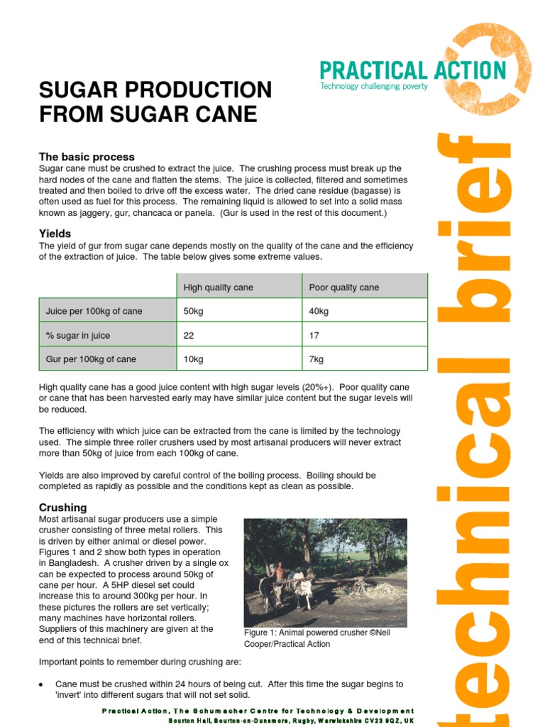 Sugar Production From Cane | PDF