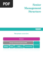 Senior Management Structure Overview | PDF | Economies | Business