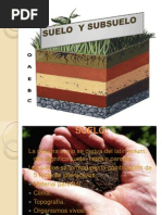 Características de los Suelos Fluvisoles | PDF | Suelo | Riego