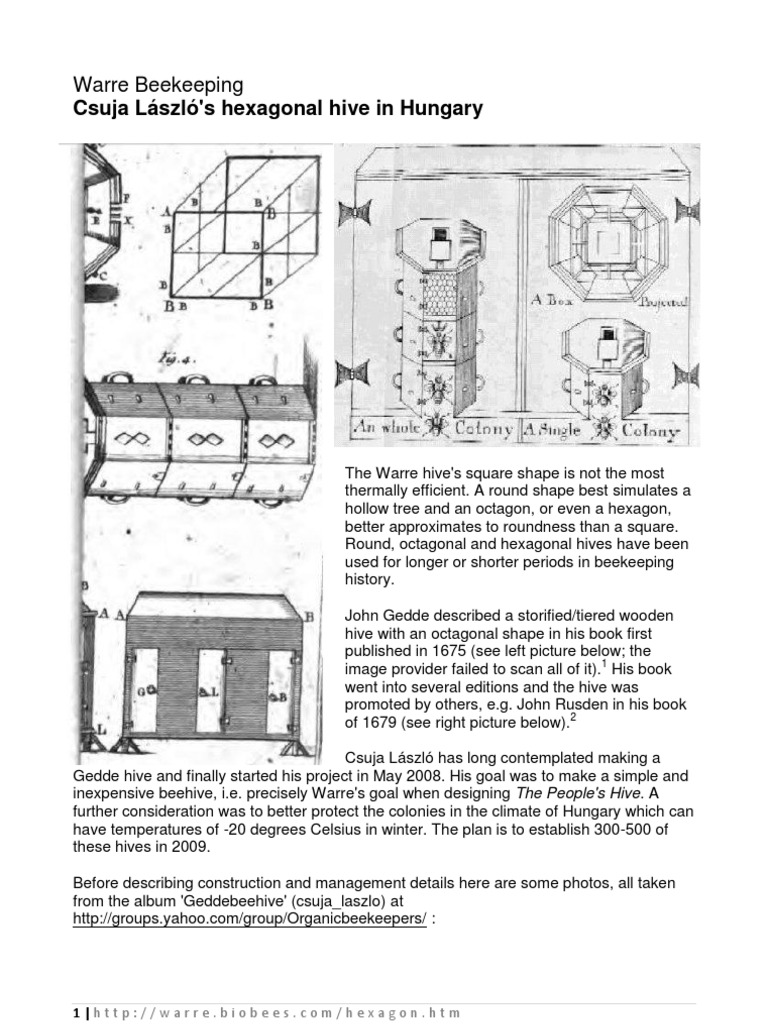 Hexagonal Hive Innovations | PDF | Beehive | Hymenoptera
