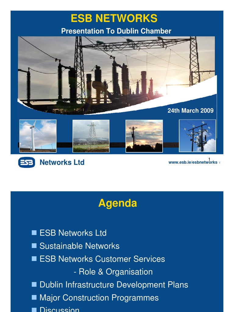 ESB Networks Overview and Strategy 2020 | PDF | Electric Power ...