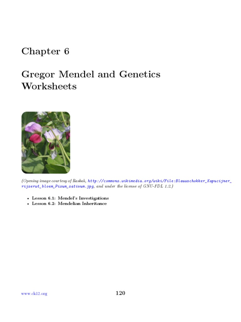 CK-12 Biology Chapter 6 Worksheets | PDF | Dominance (Genetics) | Zygosity