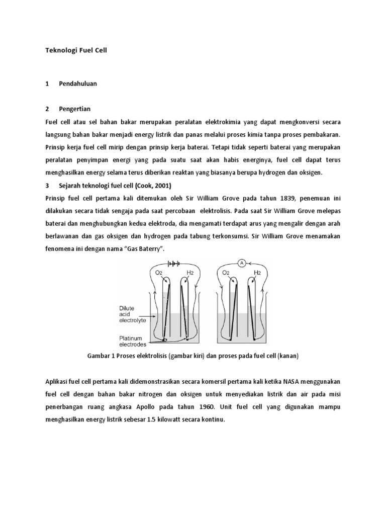 Teknologi dan Jenis Fuel Cell Modern | PDF