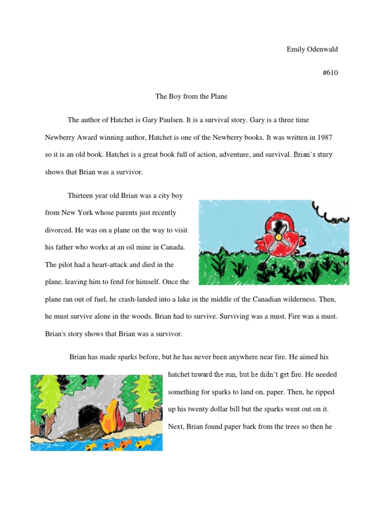 Hatchet Summary | PDF