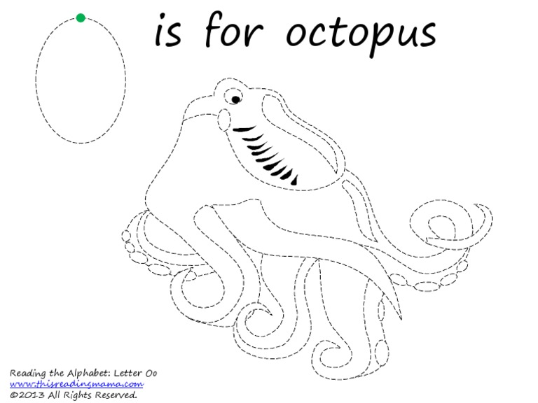 Reading The Alphabet: Letter Oo ©2013 All Rights Reserved | PDF