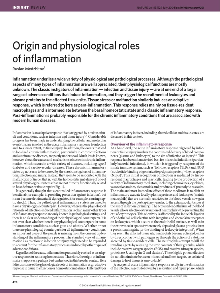 Understanding Inflammation Mechanisms | PDF