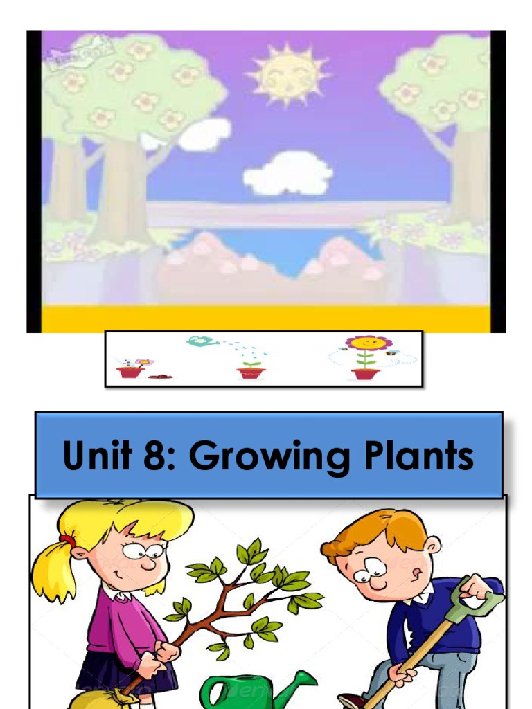 Unit 8 Growing Plants (Observation) | PDF | Horticulture And Gardening ...