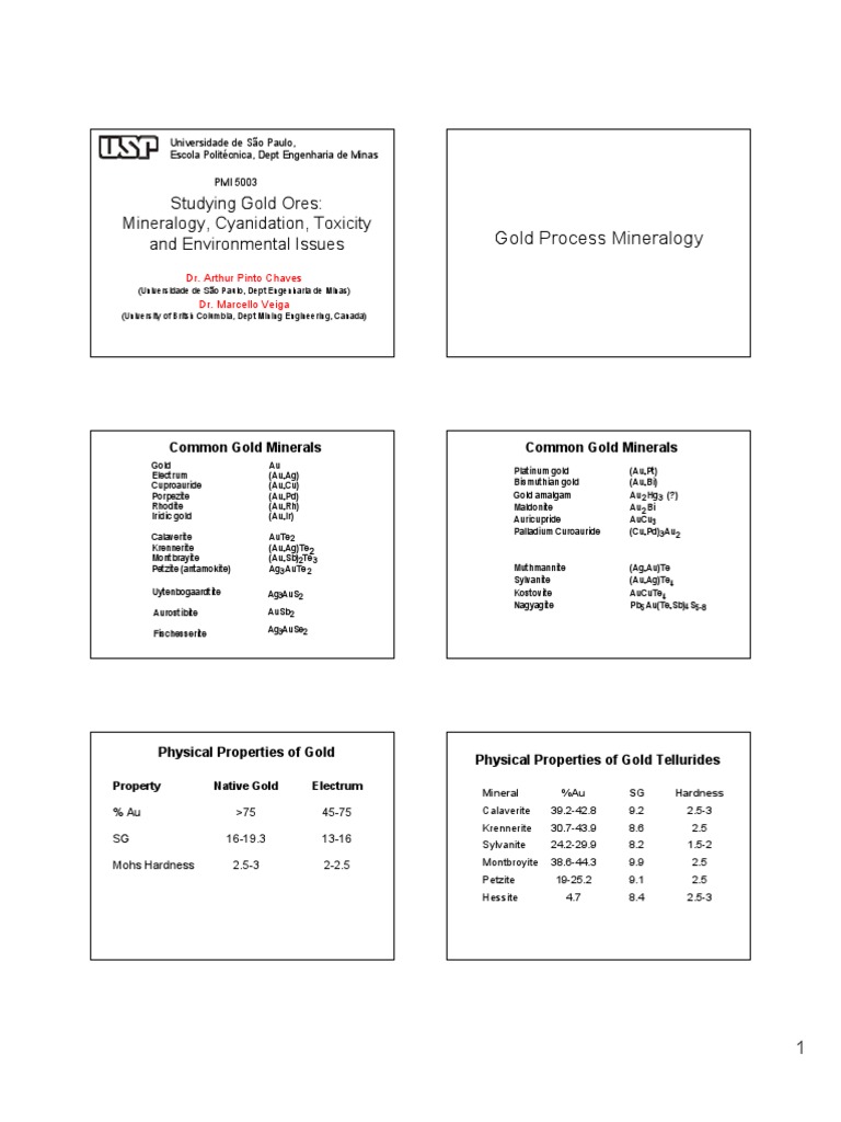 2+Gold+Cyanidation | Cyanide | Gold