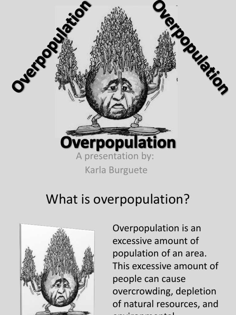 The Effects of Overpopulation | PDF | Human Overpopulation | Sanitation
