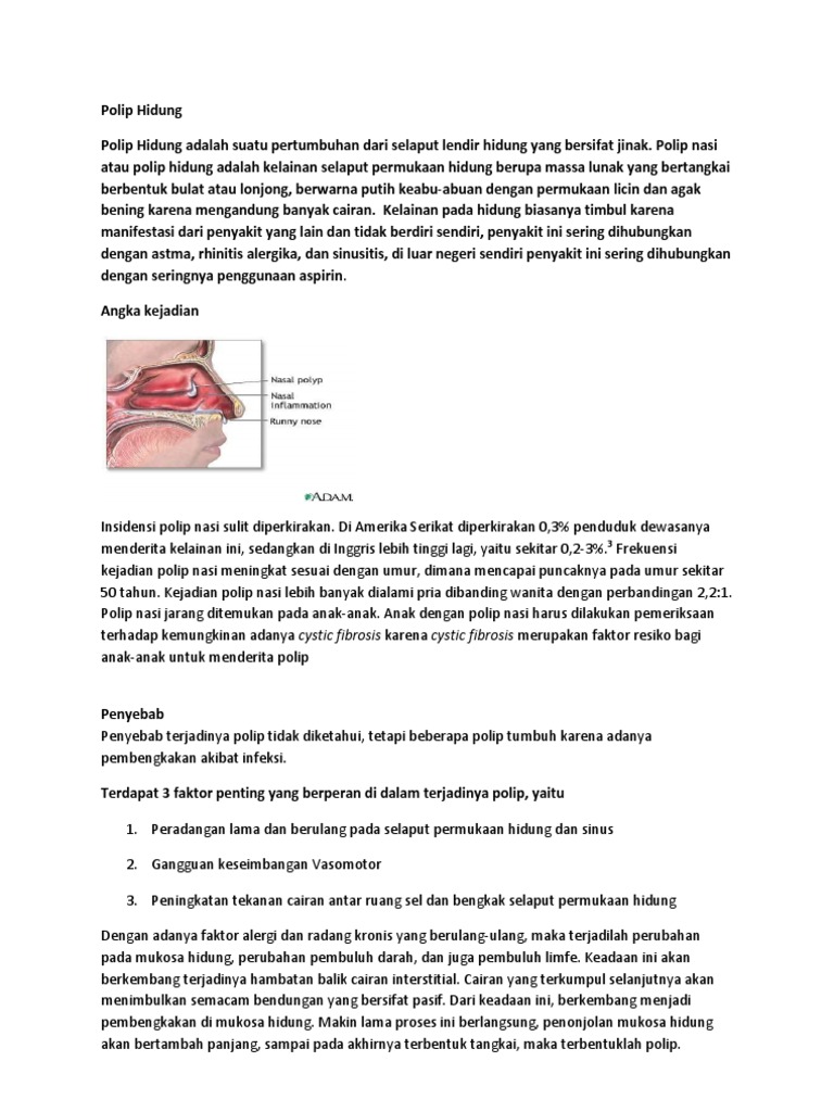 Gambar dan Info Polip Hidung Normal | PDF
