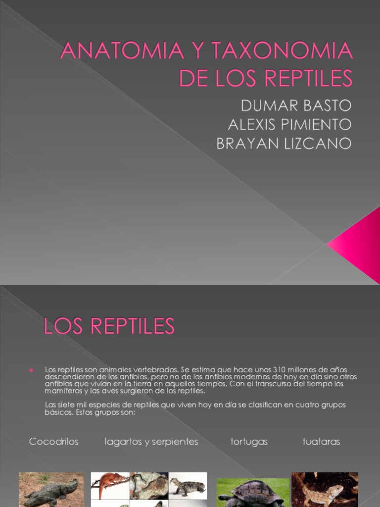 Anatomia y Taxonomia de Los Reptiles | PDF | Serpiente | Tortuga