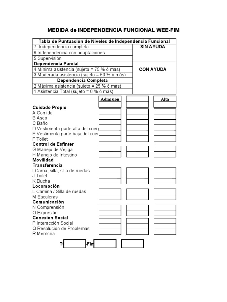 Grilla de Puntuación WEEFIM | PDF