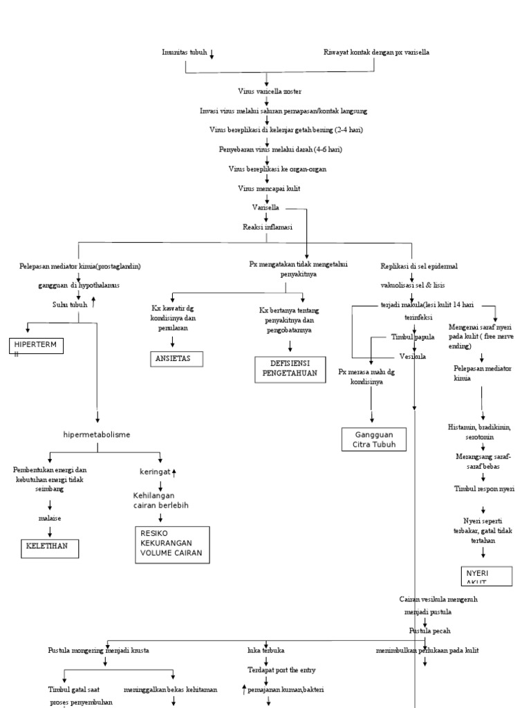 Pathway Varicella | PDF