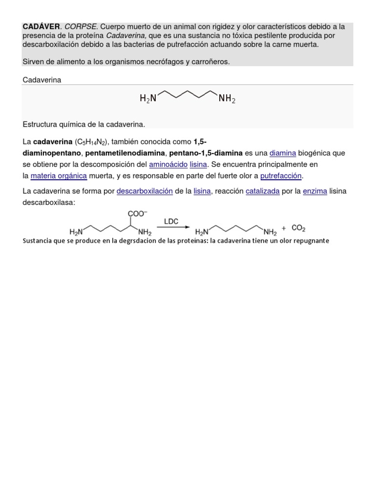 Cadaverina: Química y Descomposición | PDF