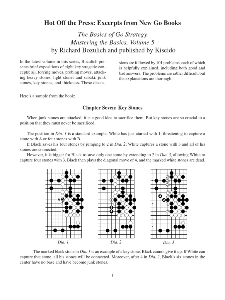 Basics of Go Strategy | PDF