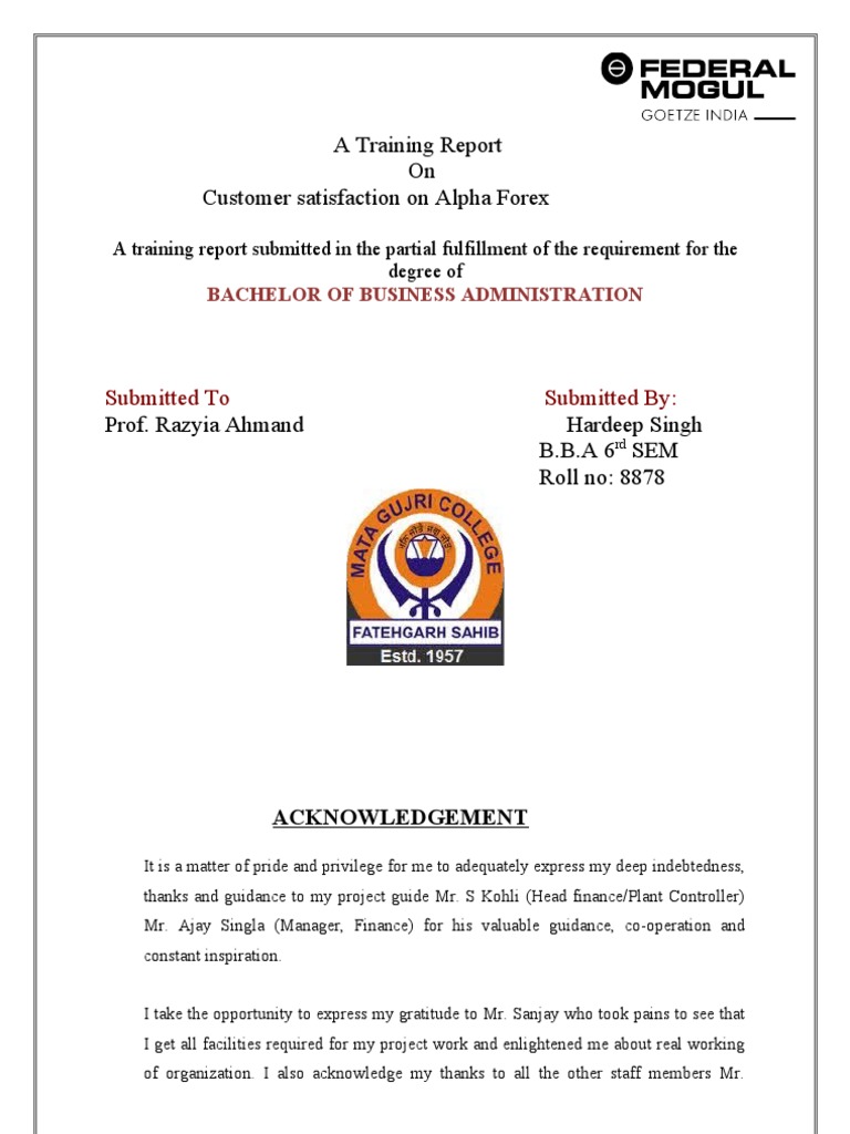 Bba Project | PDF | Business