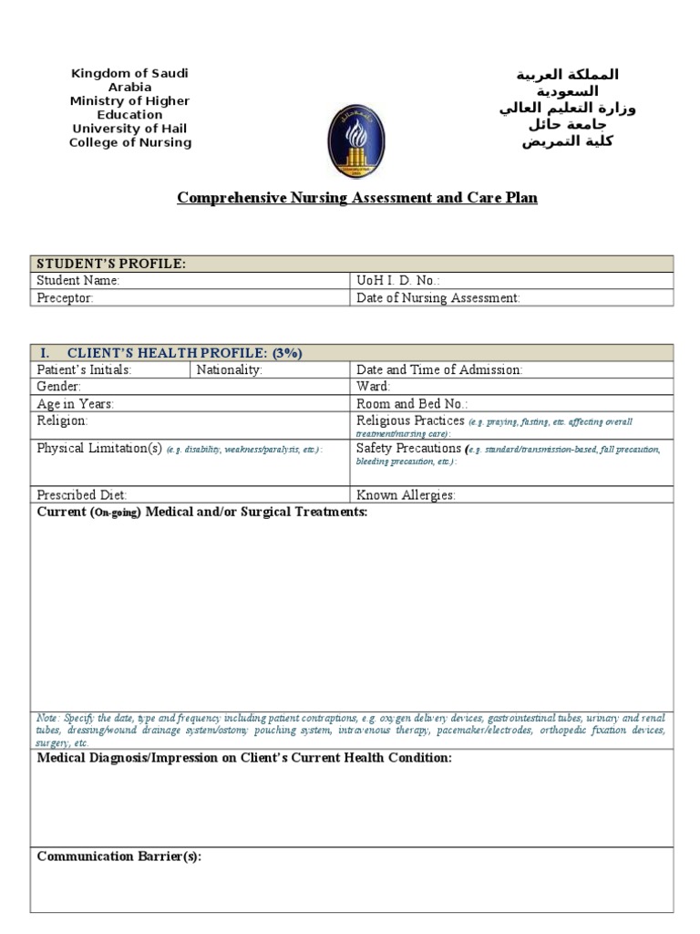 1 Comprehensive Nursing Assessment and Care Plan | Download Free PDF ...