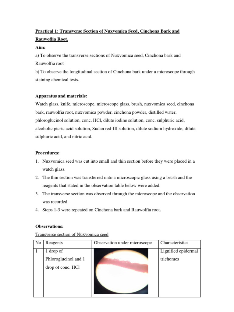 Cinchona Bark Microscopy