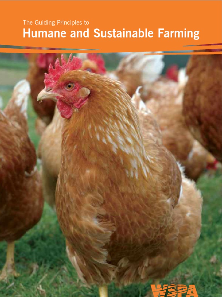 Humane and Sustainable Farming - English - tcm46-28200 | PDF ...