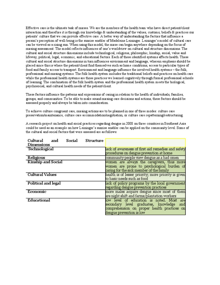 Sunrise Model | PDF | Nursing | Psychology