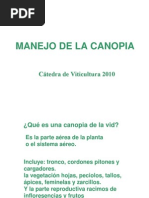 Morfología de Frutos: Silicua y Cipsela | PDF | Fruta | Morfología Vegetal